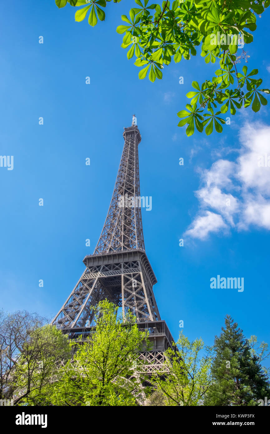 Paris, Eiffel tower on a bright day in Spring with green spring leaves ...