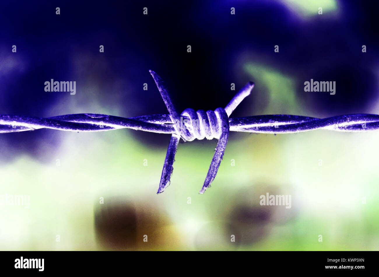 Abstract image of barbed wire hi-res stock photography and images - Alamy