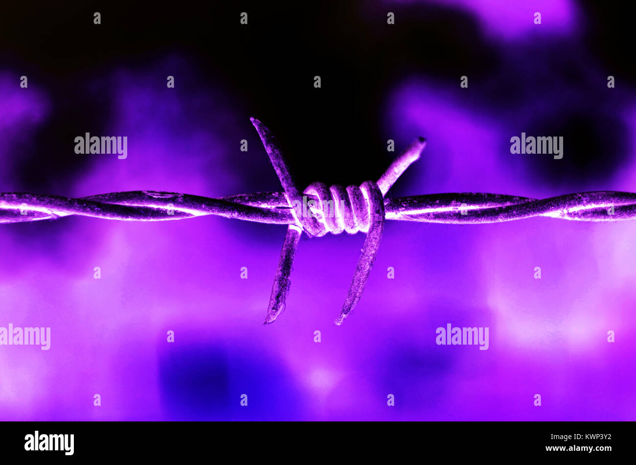 Spikey wire hi-res stock photography and images - Alamy