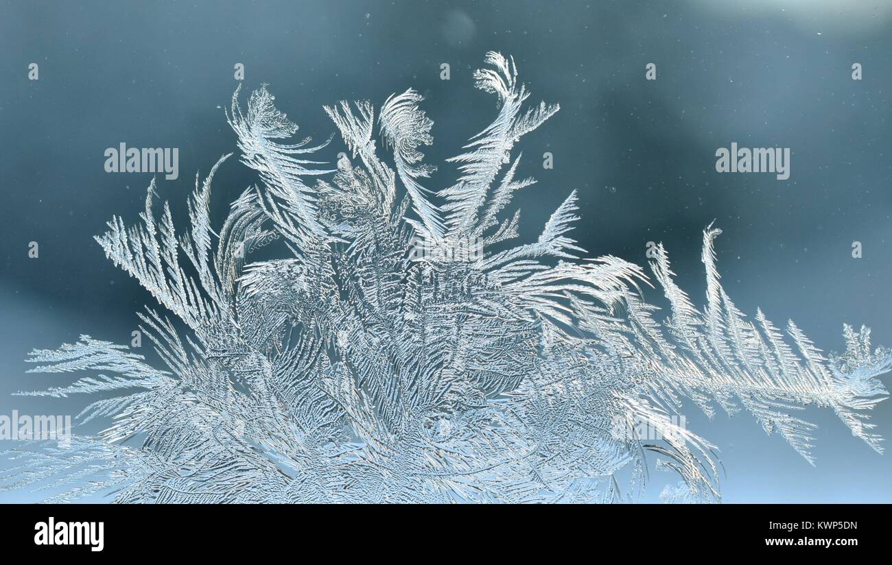 Feathery frost hi-res stock photography and images - Alamy