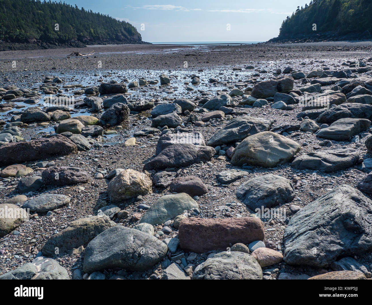 Point Wolfe Beach, Fundy National Park, Bay of Fundy, New Brunswick ...
