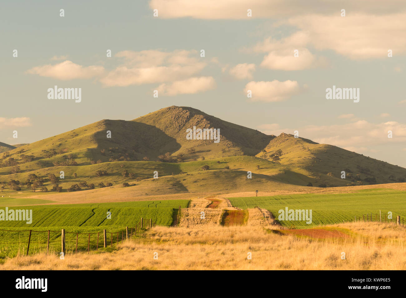 Midnight oil hi-res stock photography and images - Alamy