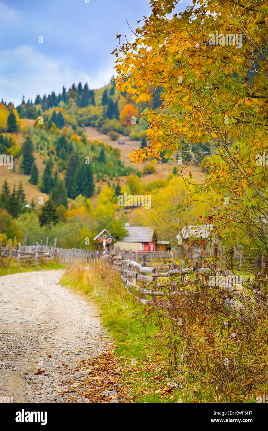 Autumn scenery landscape with colorful forest, wood fence and rural ...