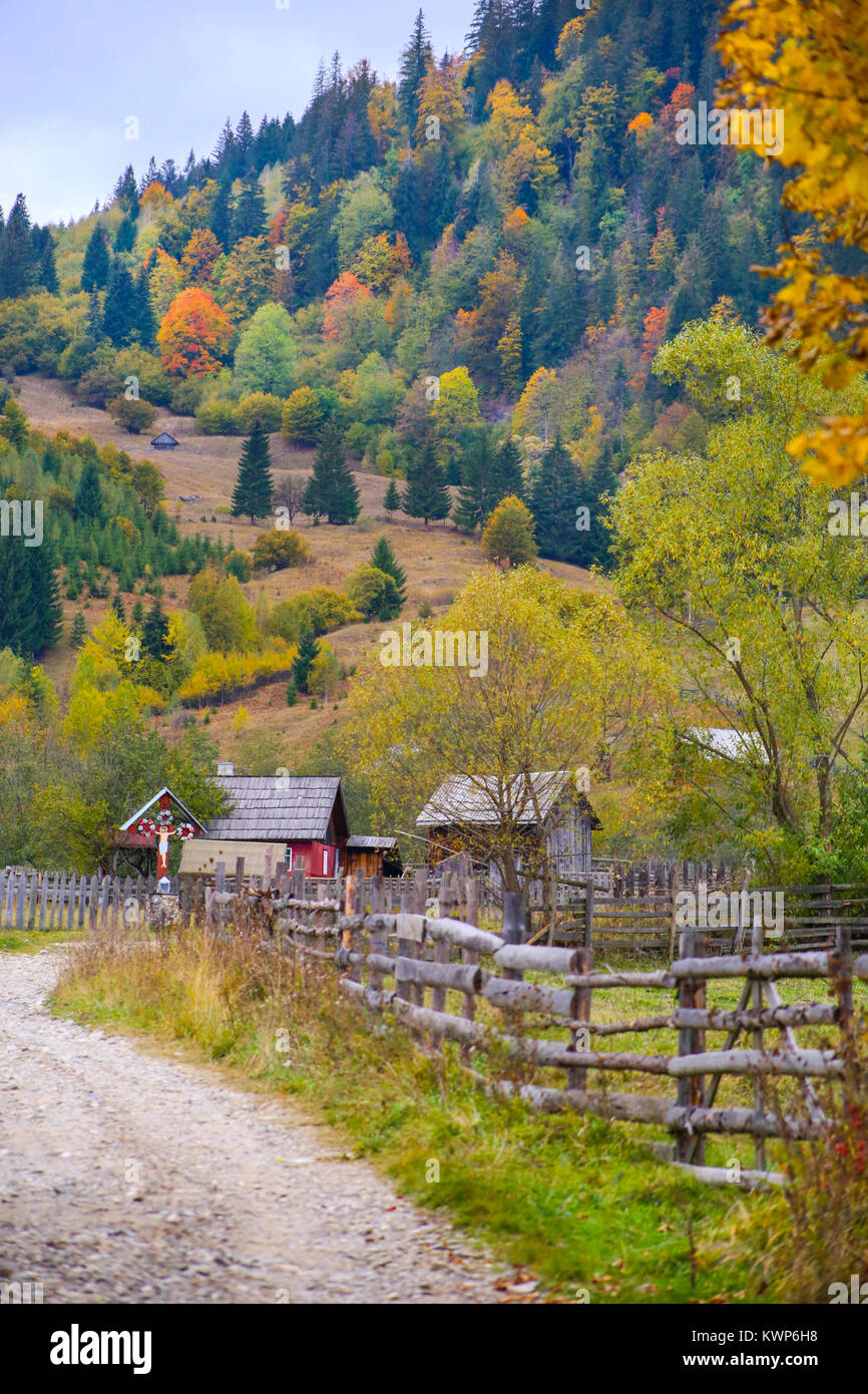 Autumn scenery landscape with colorful forest, wood fence and rural ...