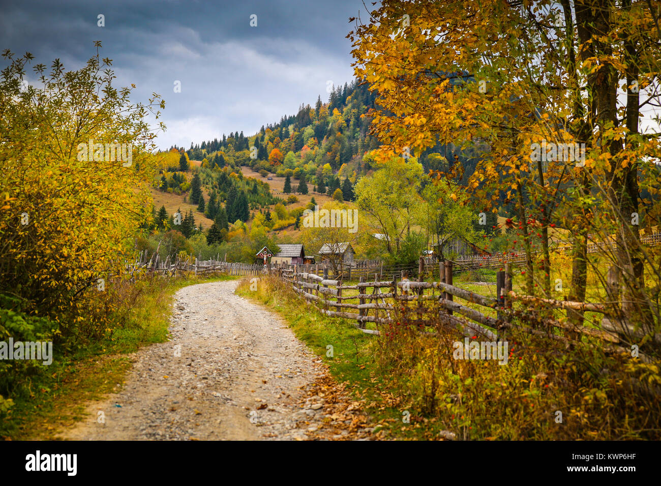 Autumn scenery landscape with colorful forest, wood fence and rural ...