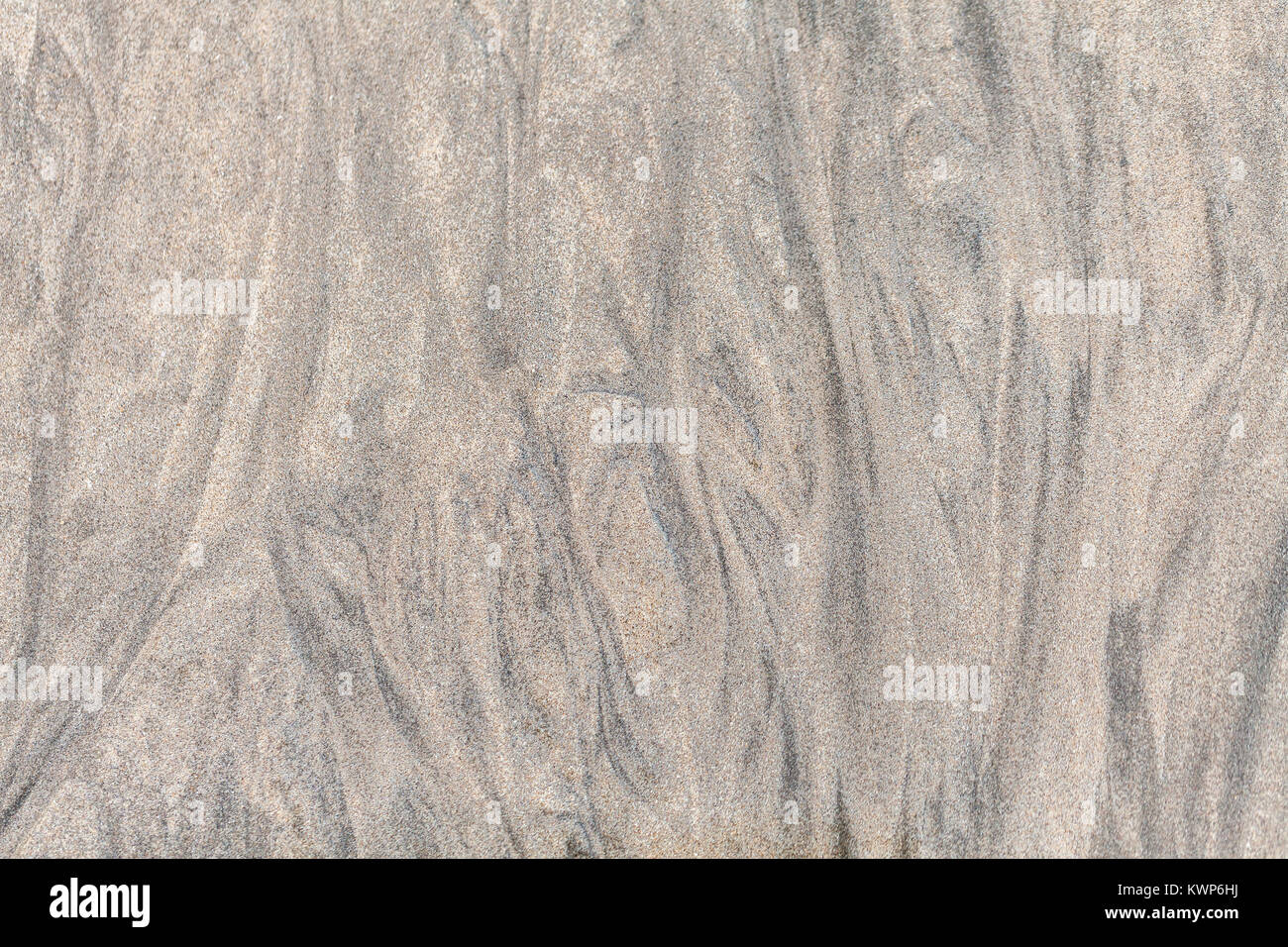 Dry sand on the ocean shore texture background Stock Photo - Alamy