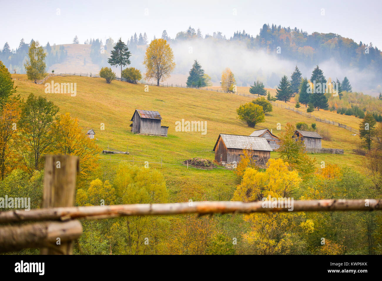 Autumn scenery landscape with colorful forest, wood fence and hay barns ...