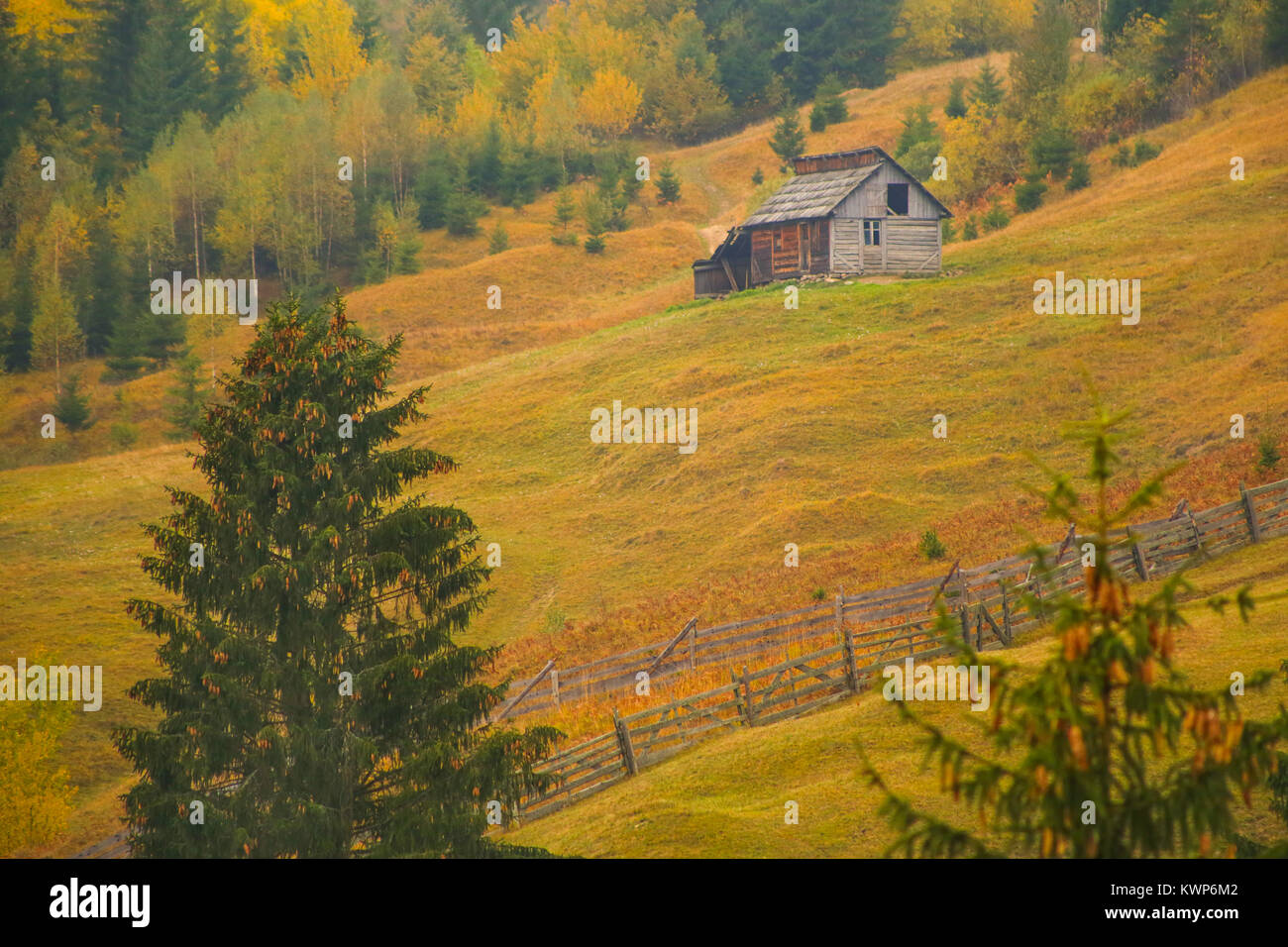 Autumn scenery landscape with colorful forest, wood fence and hay barns ...