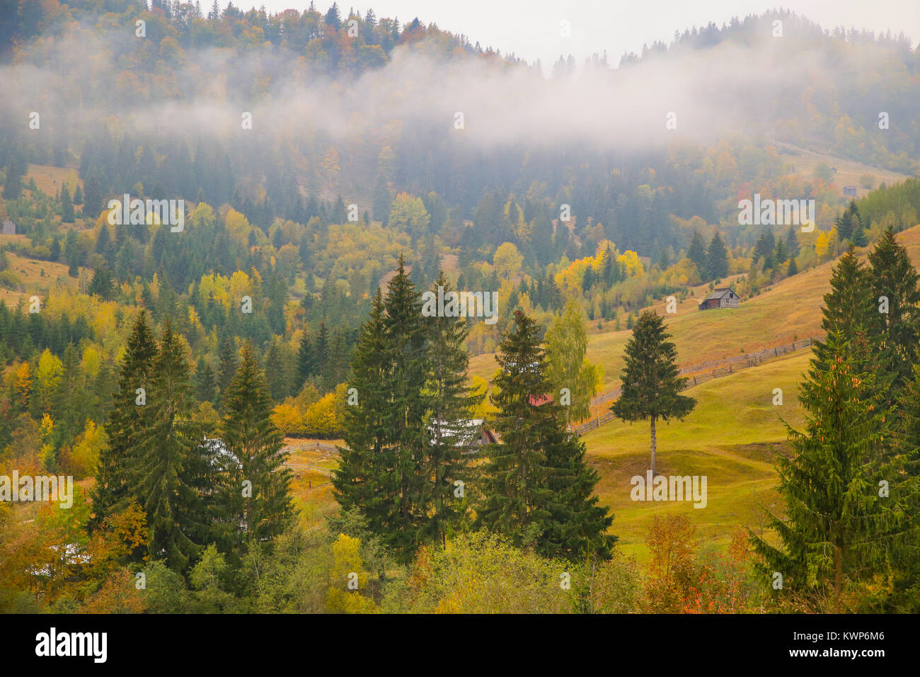 Autumn scenery landscape with colorful forest, wood fence and hay barns ...