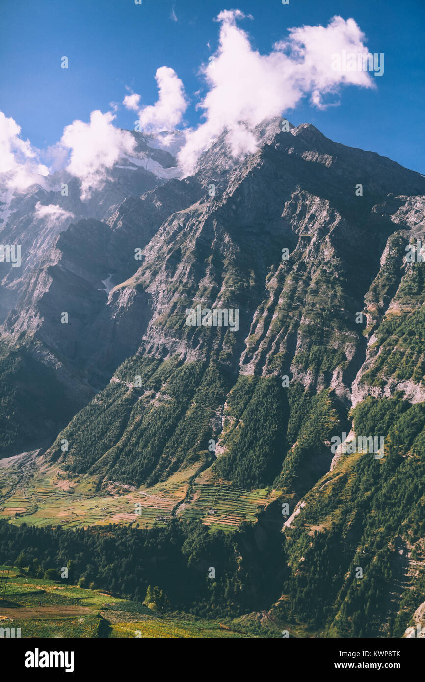 majestic rocky mountains and evergreen trees in indian himalayas Stock ...