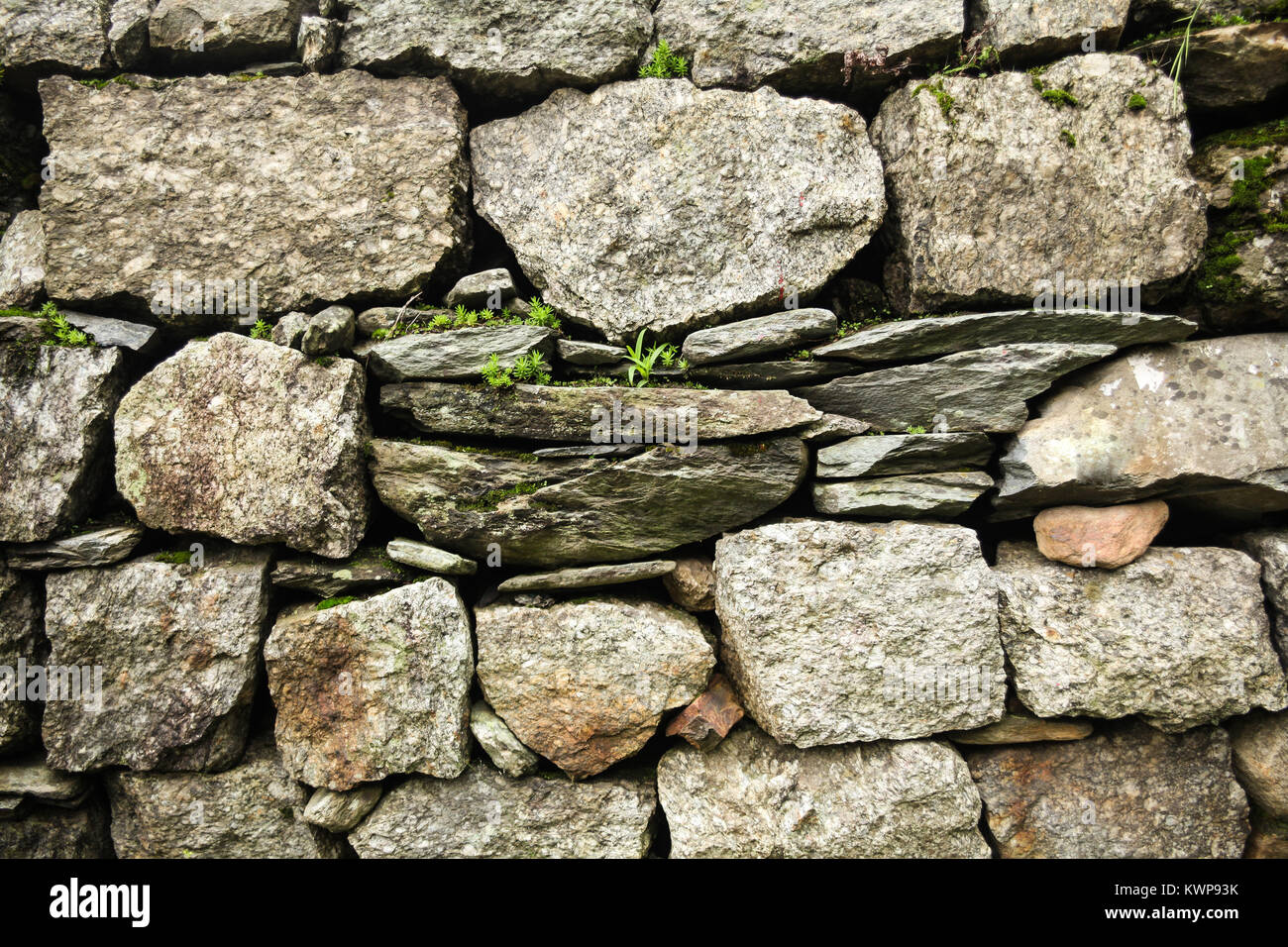 Plants growing stone wall architecture hi-res stock photography and ...