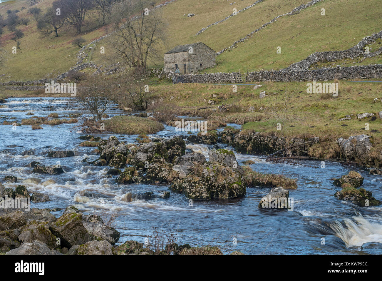 River Wharfe in Upper Wharfedale, North Yorkshire next to the Dales Way ...