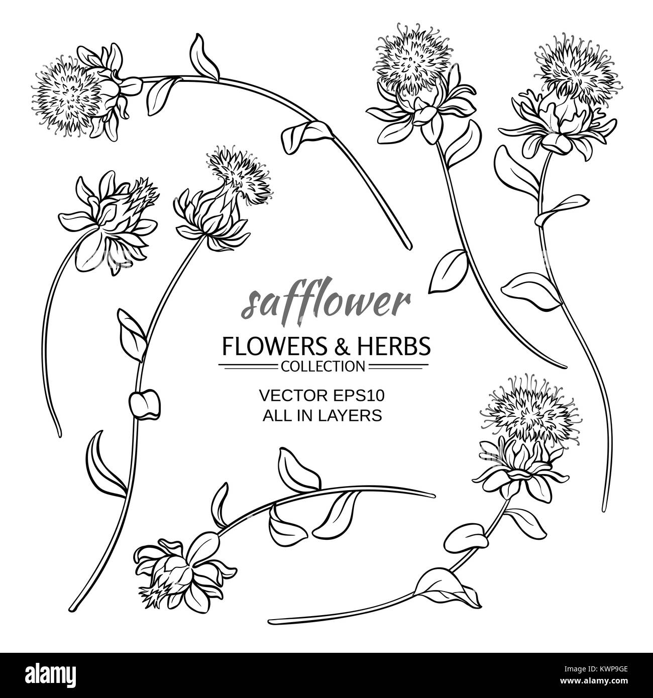 Plant dye Stock Vector Images - Alamy