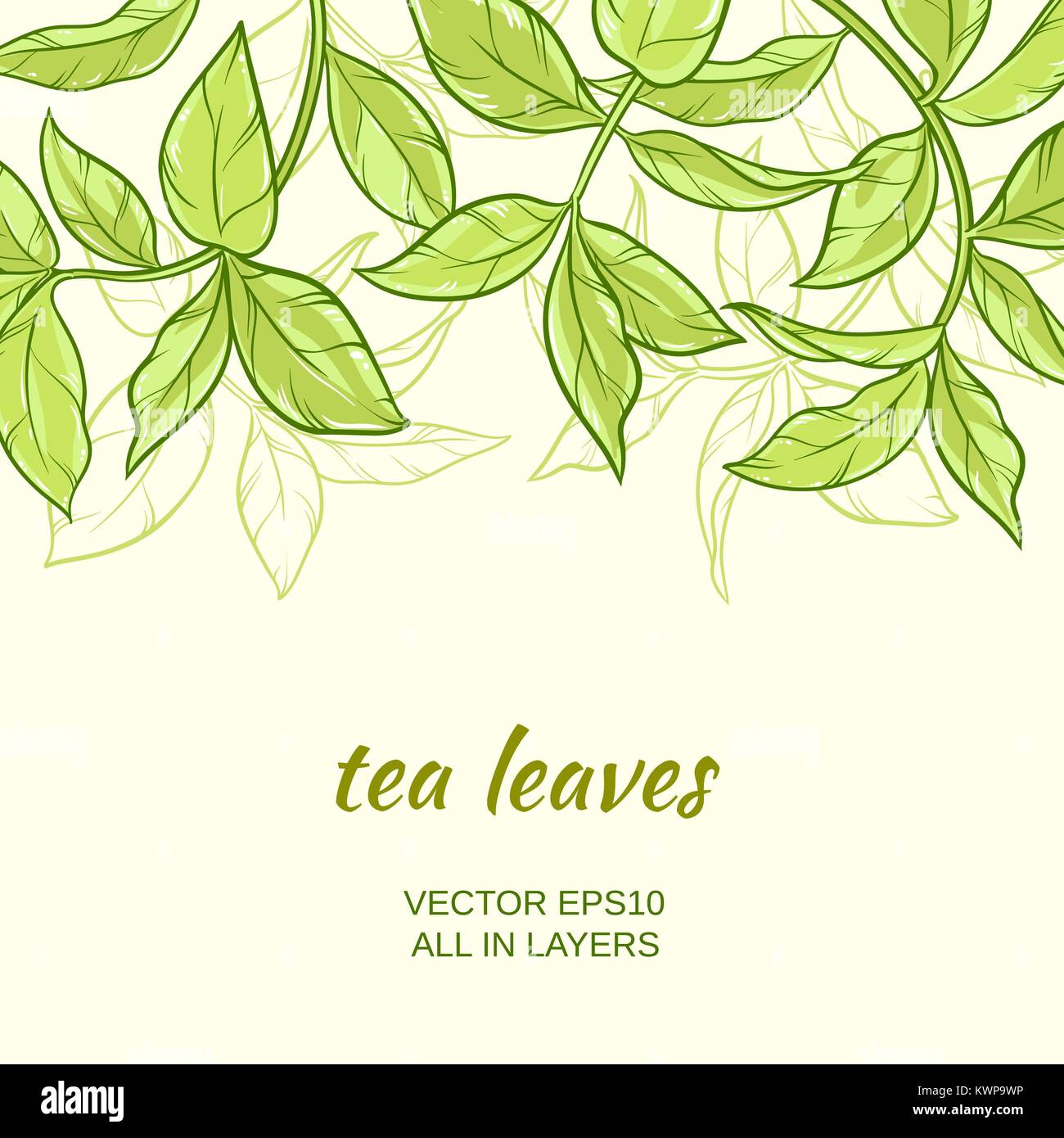 Illustration with green tea leaves on color background Stock Vector ...