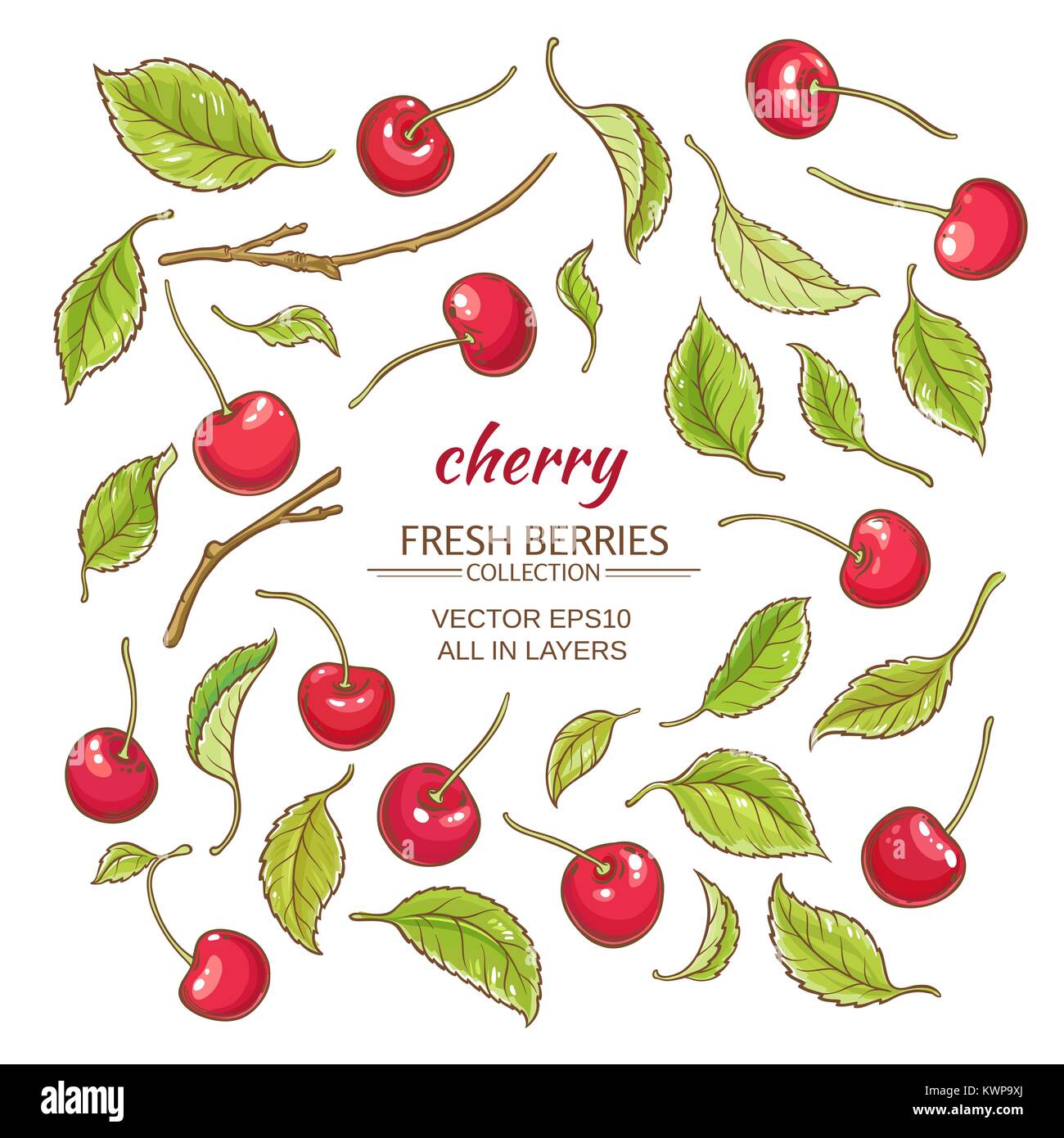 cherry elements vector set on white background Stock Vector Image & Art ...