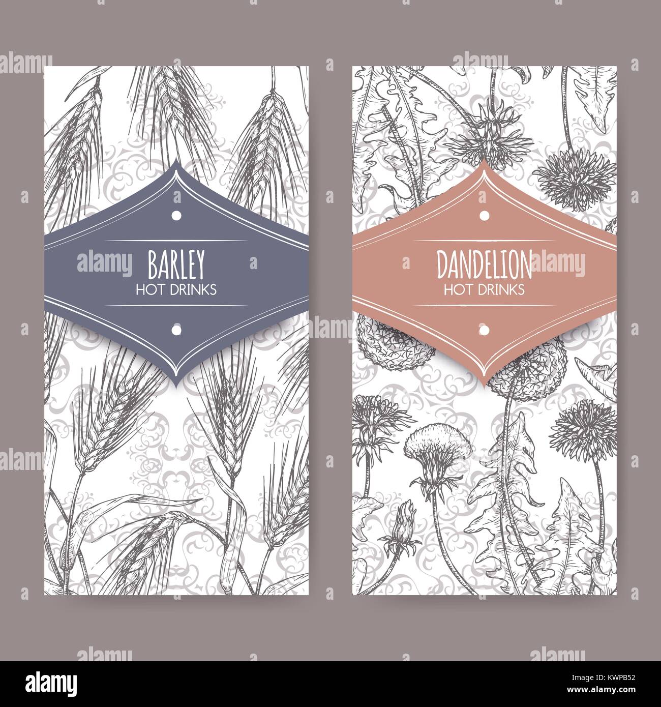 Yellow flower dandelion taraxacum Stock Vector Images - Alamy