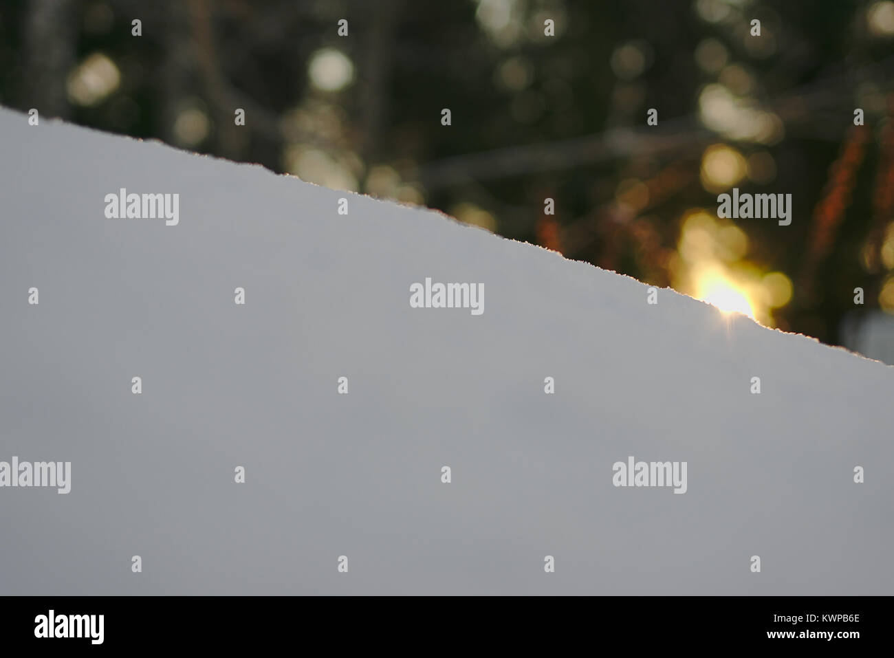 Sharp edge of a snow dune against blurry forest Stock Photo - Alamy