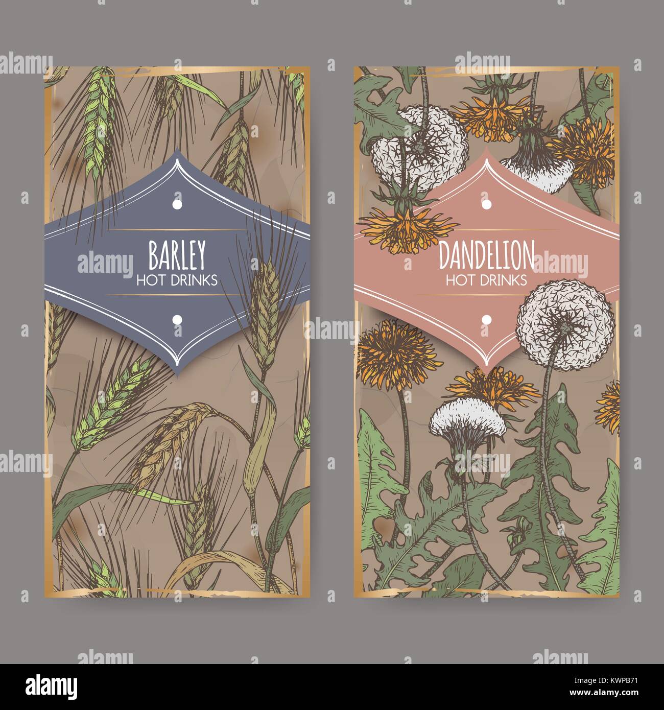 Two row barley Stock Vector Images - Alamy