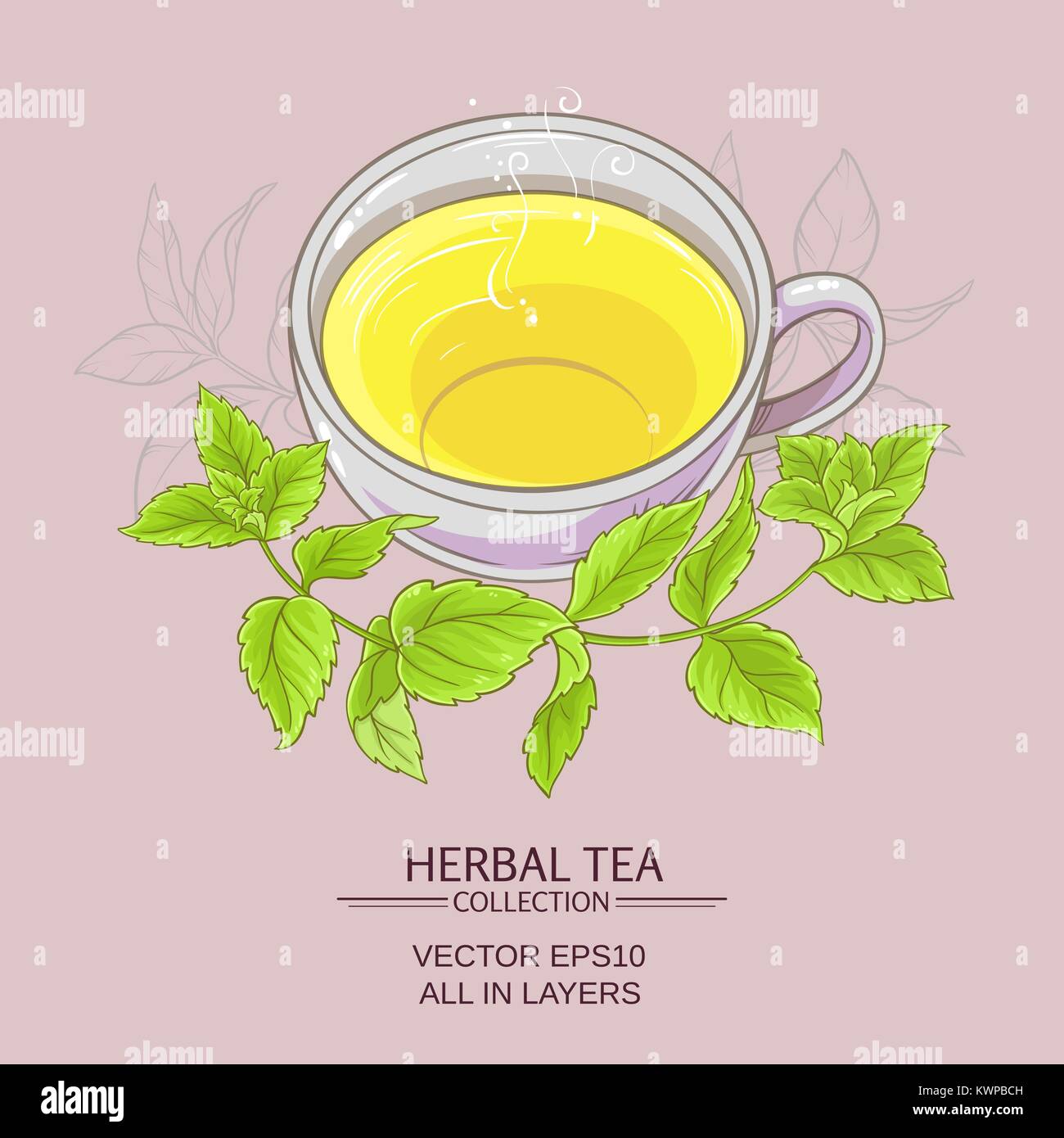 Peppermint tea Stock Vector Images - Alamy