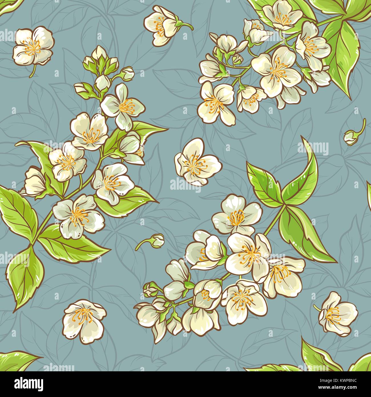 Japanese jasmine flower Stock Vector Images - Alamy