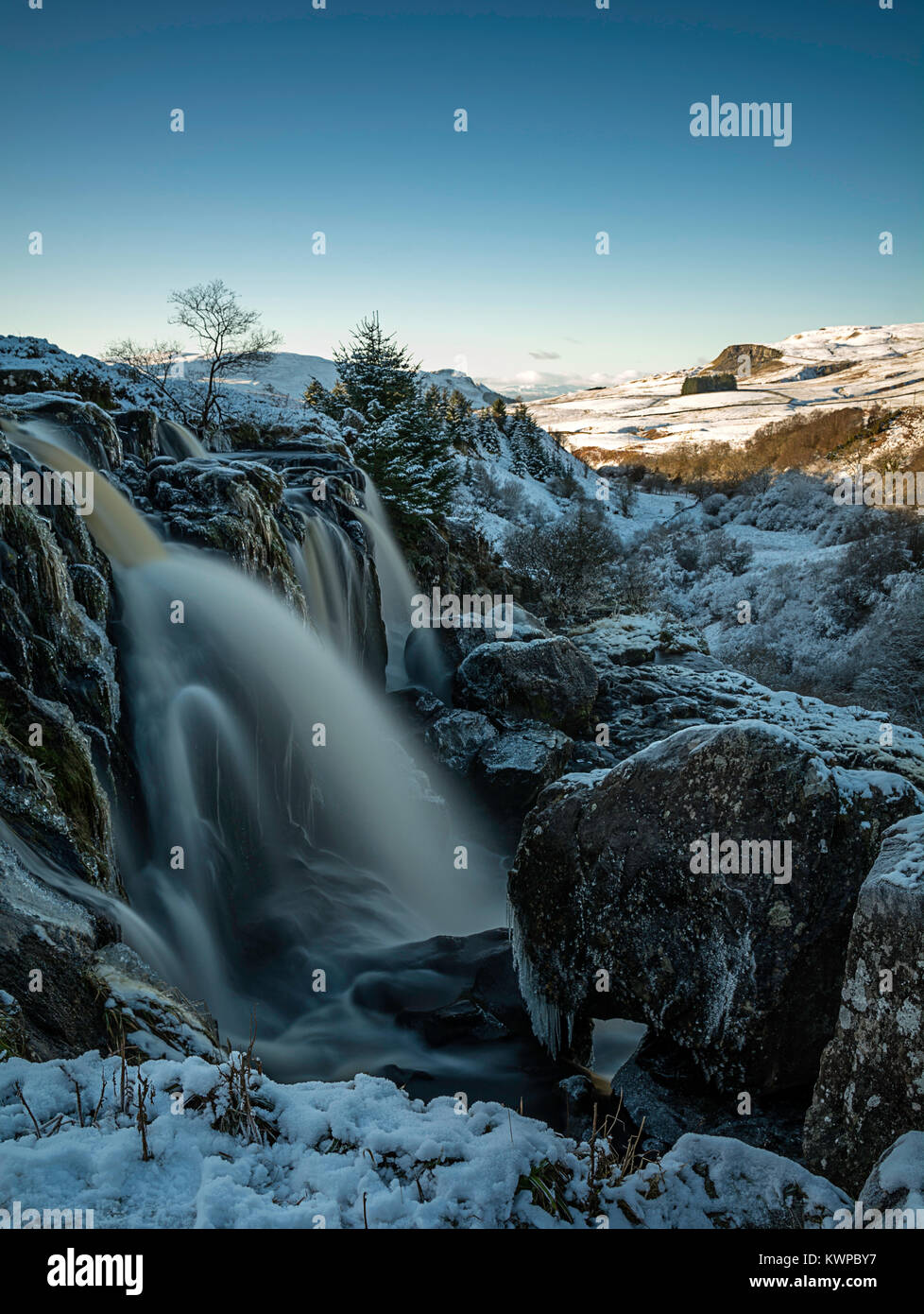 Loup of Fintry Stock Photo - Alamy