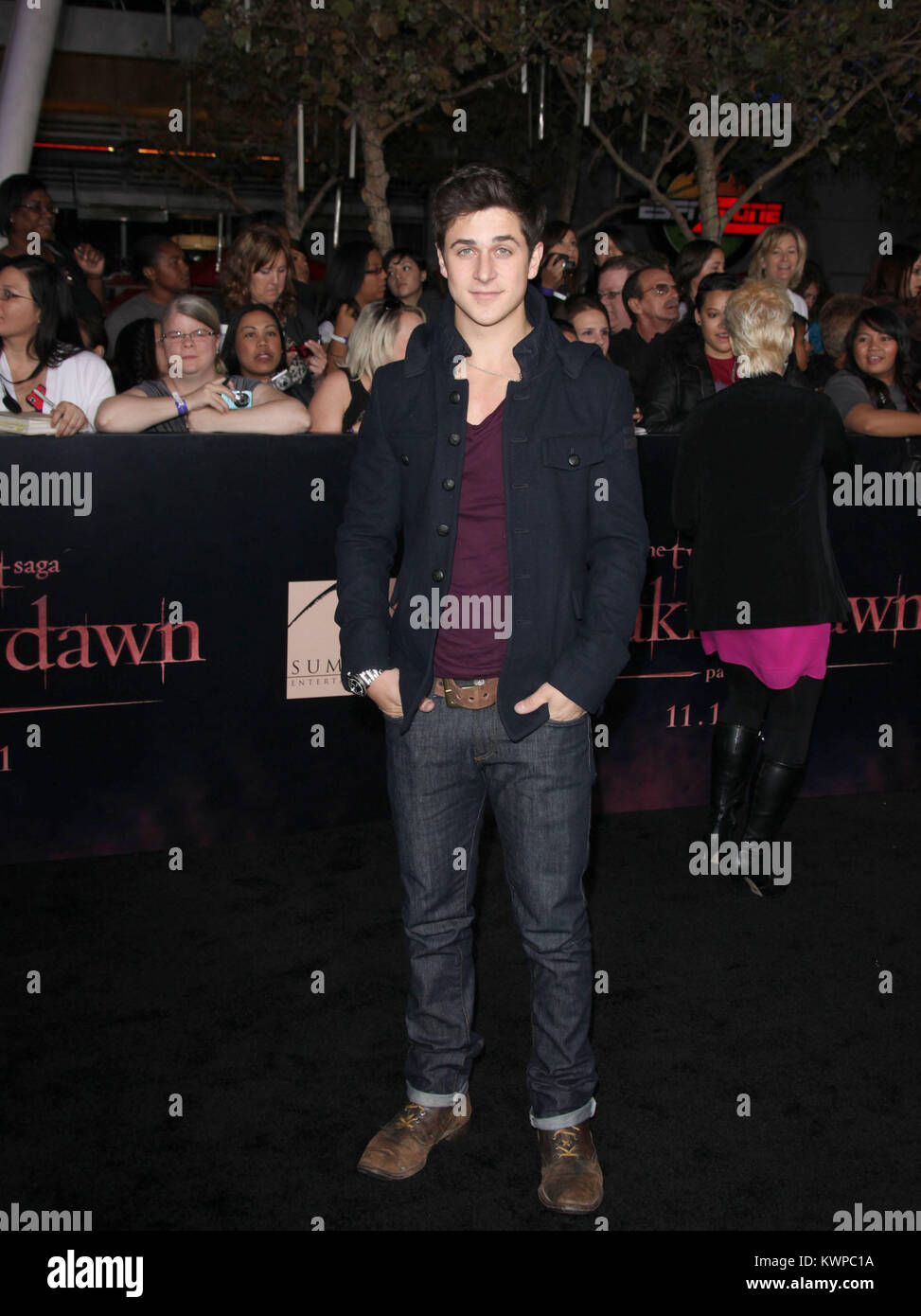 LOS ANGELES, CA - NOVEMBER 14: David Henrie attends 'The Twilight Saga ...