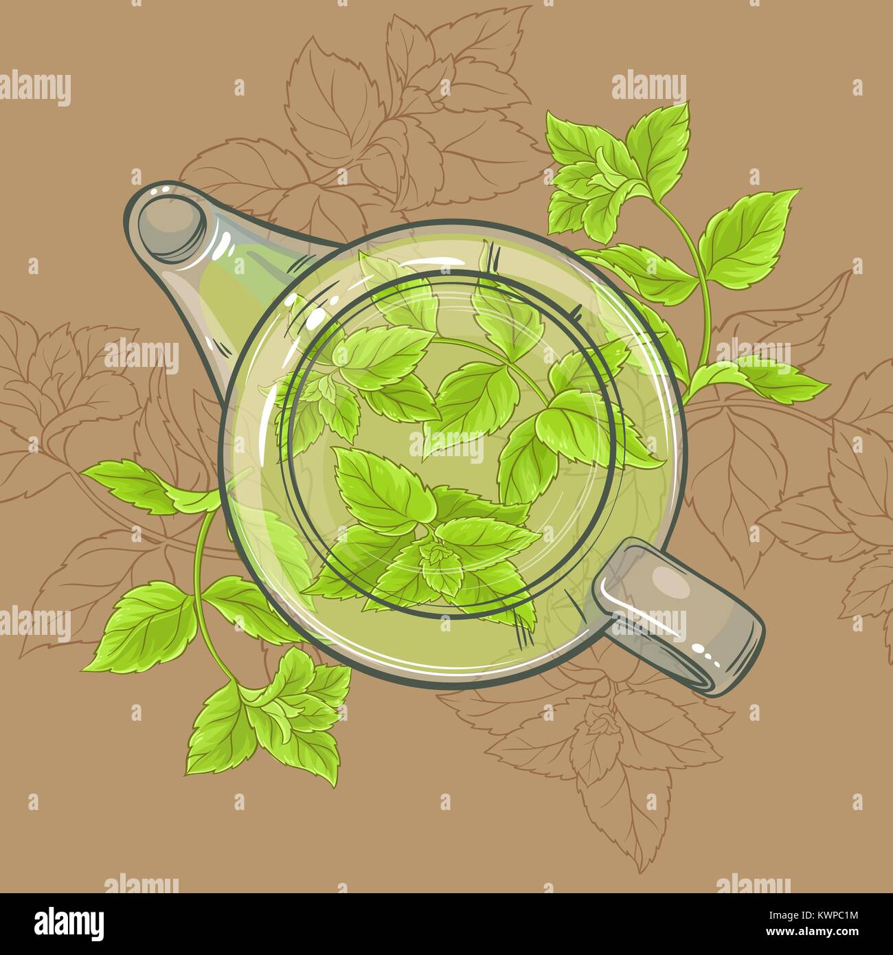peppermint tea in glass teapot on brown background Stock Vector Image ...
