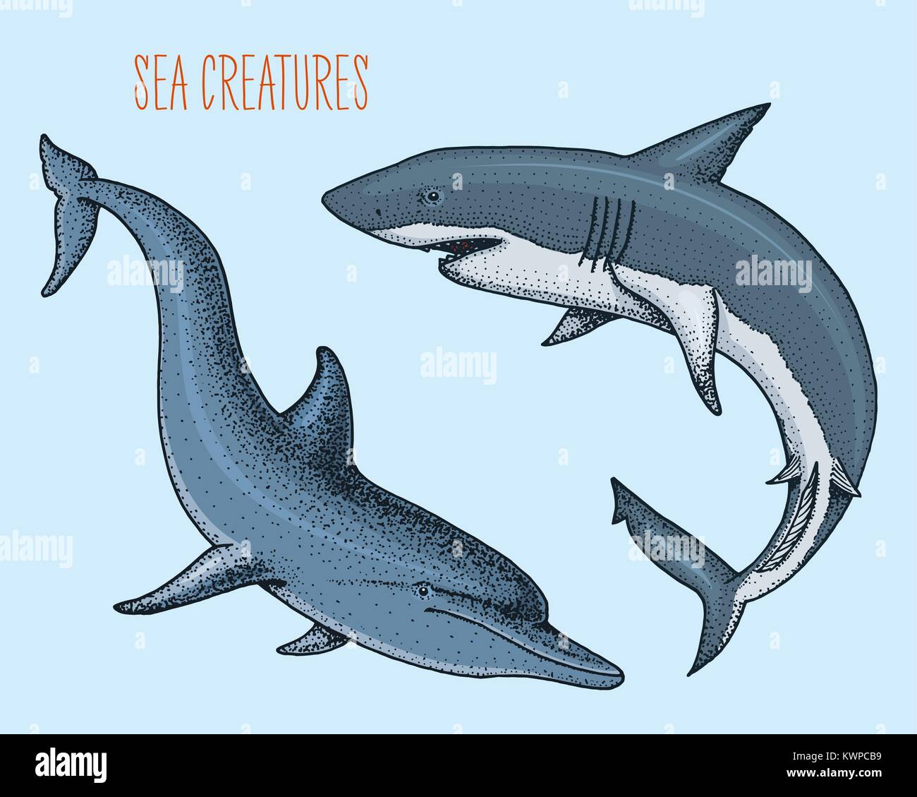 Sea creature cartoon hi-res stock photography and images - Alamy
