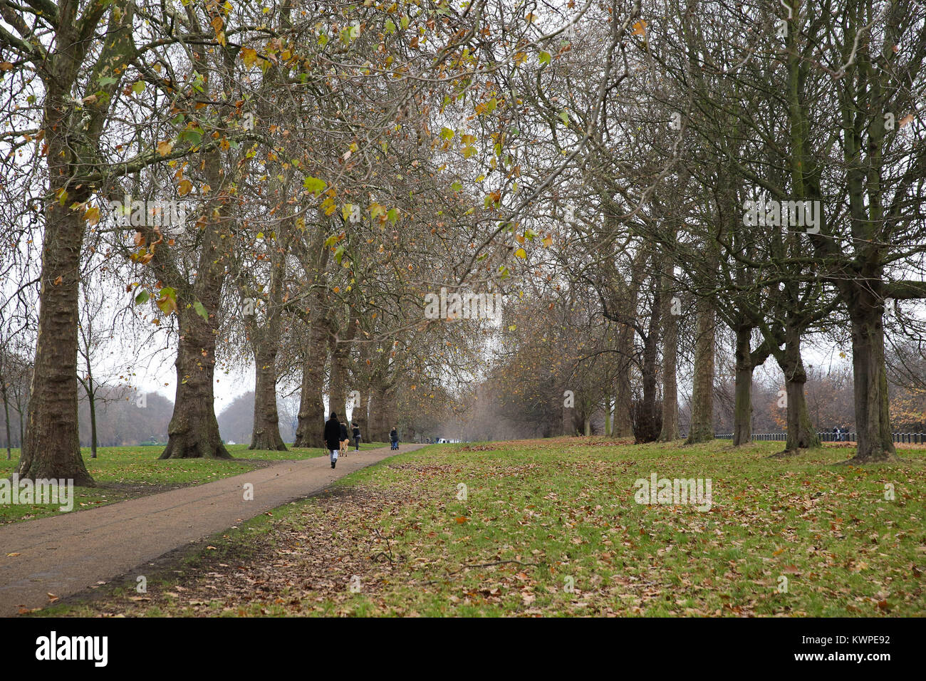 People out and about in Hyde Park, London, on a dull and cloudy day in ...