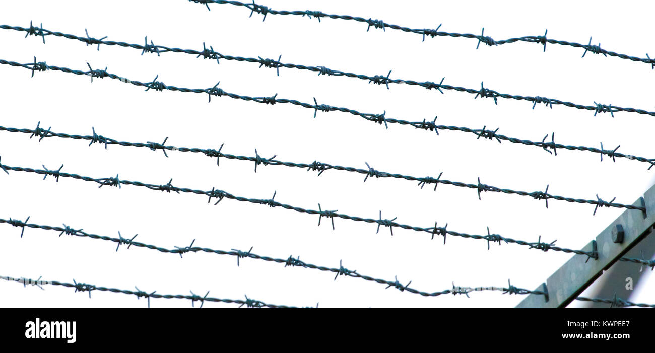 Rows of barbed wire Stock Photo - Alamy