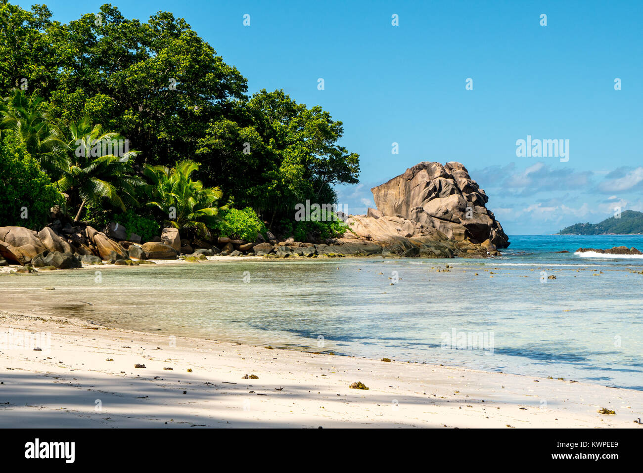 Coral reef seychelles indian ocean hi-res stock photography and images ...