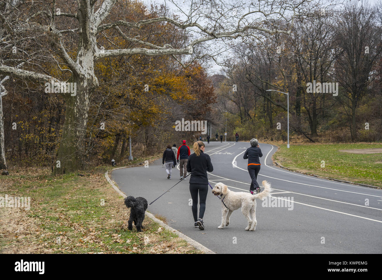 People walkng, jogging & biking on the road inside Prospect Park in the ...