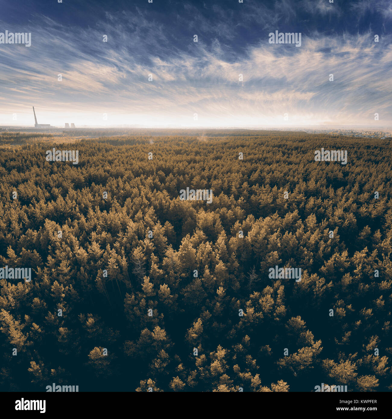 Pine forest aerial hi-res stock photography and images - Alamy