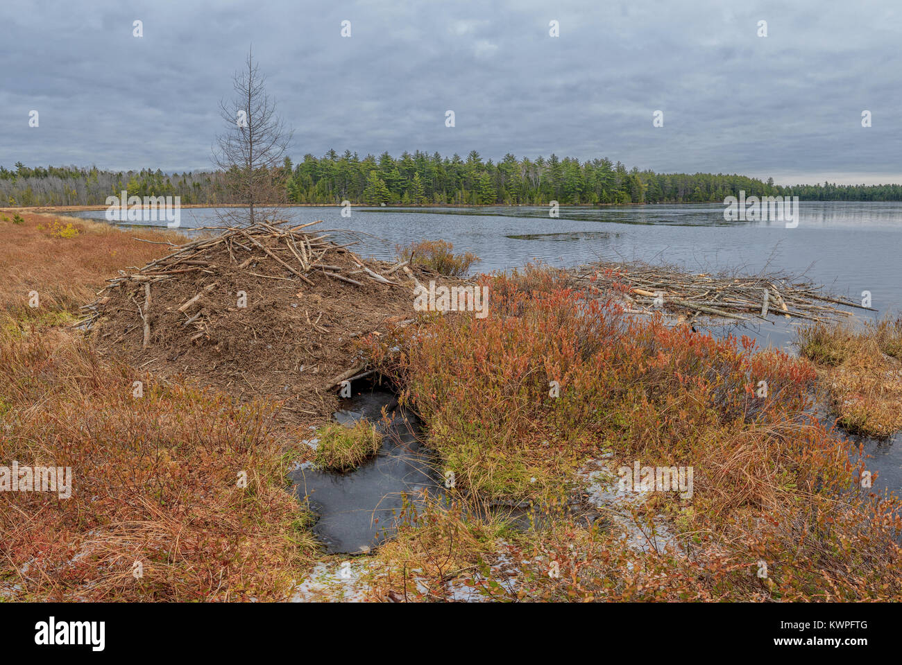 Food cache hi-res stock photography and images - Alamy