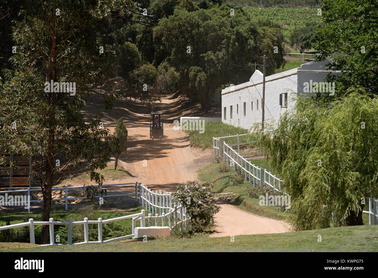 Hermanus, Western Cape South Africa. December 2017. Hamilton Russell ...