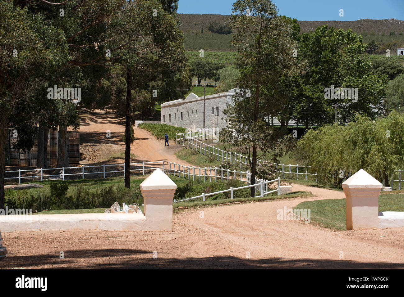Hermanus wine hi-res stock photography and images - Alamy