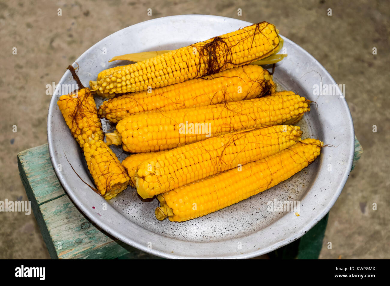 Boiled corn on an aluminum tray. Yellow boiled young corn, useful and ...
