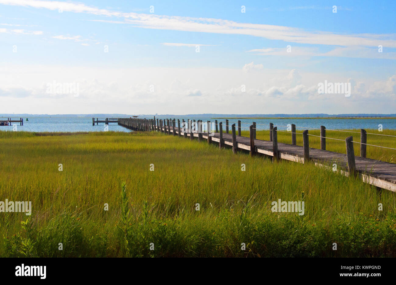 Chincoteague hi-res stock photography and images - Alamy