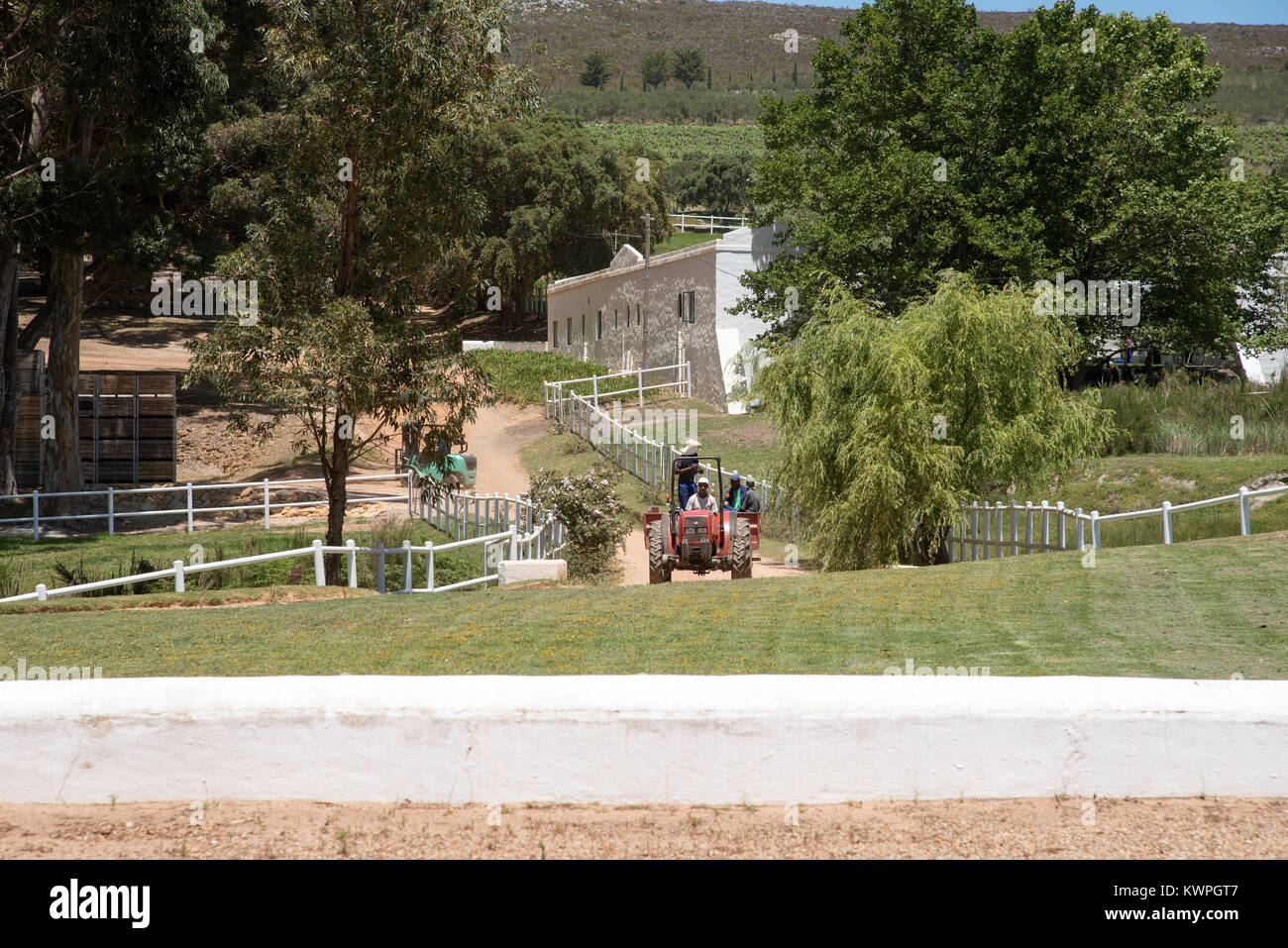 Hermanus, Western Cape South Africa. December 2017. Hamilton Russell ...