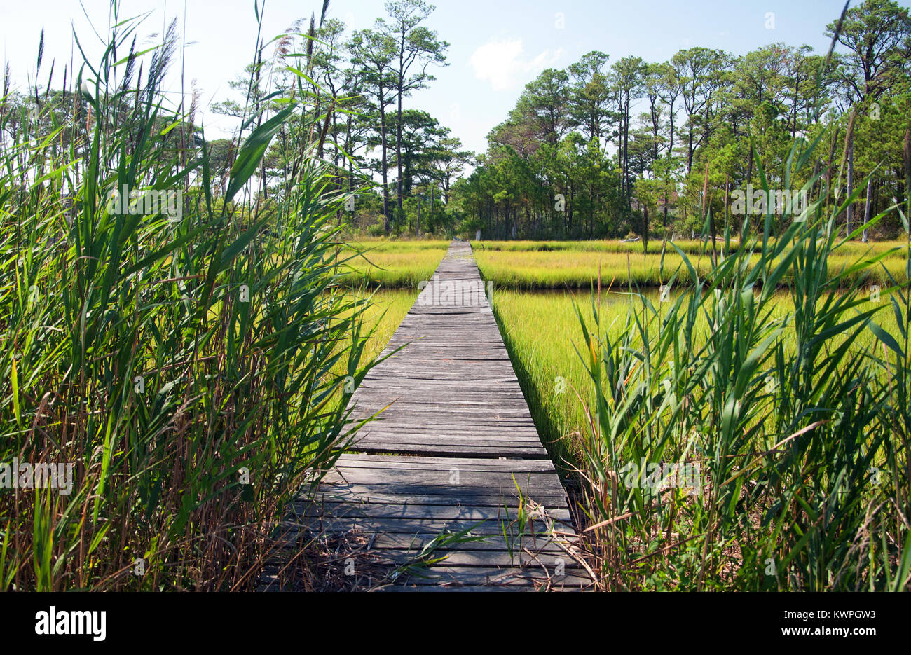 Town of chincoteague hi-res stock photography and images - Alamy