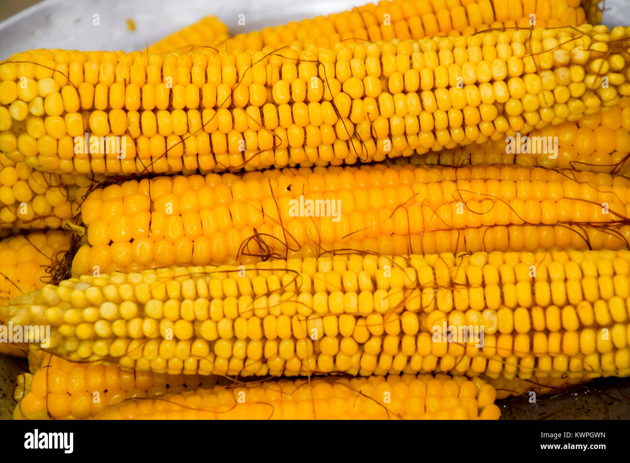 Boiled corn on an aluminum tray. Corn near. Closeup of corn. Yellow ...