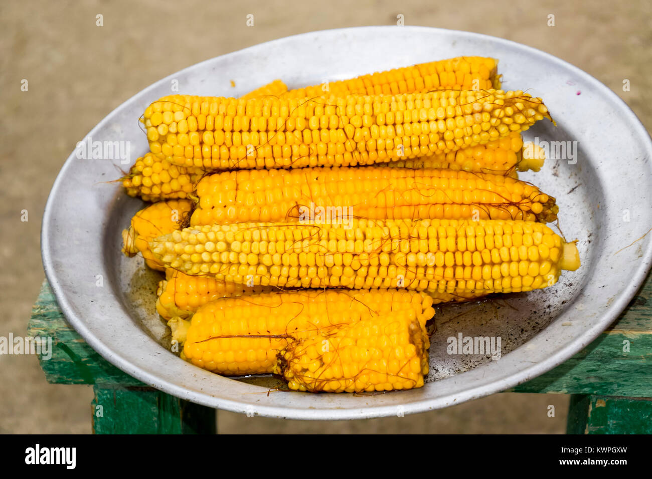 Boiled corn on an aluminum tray. Yellow boiled young corn, useful and ...