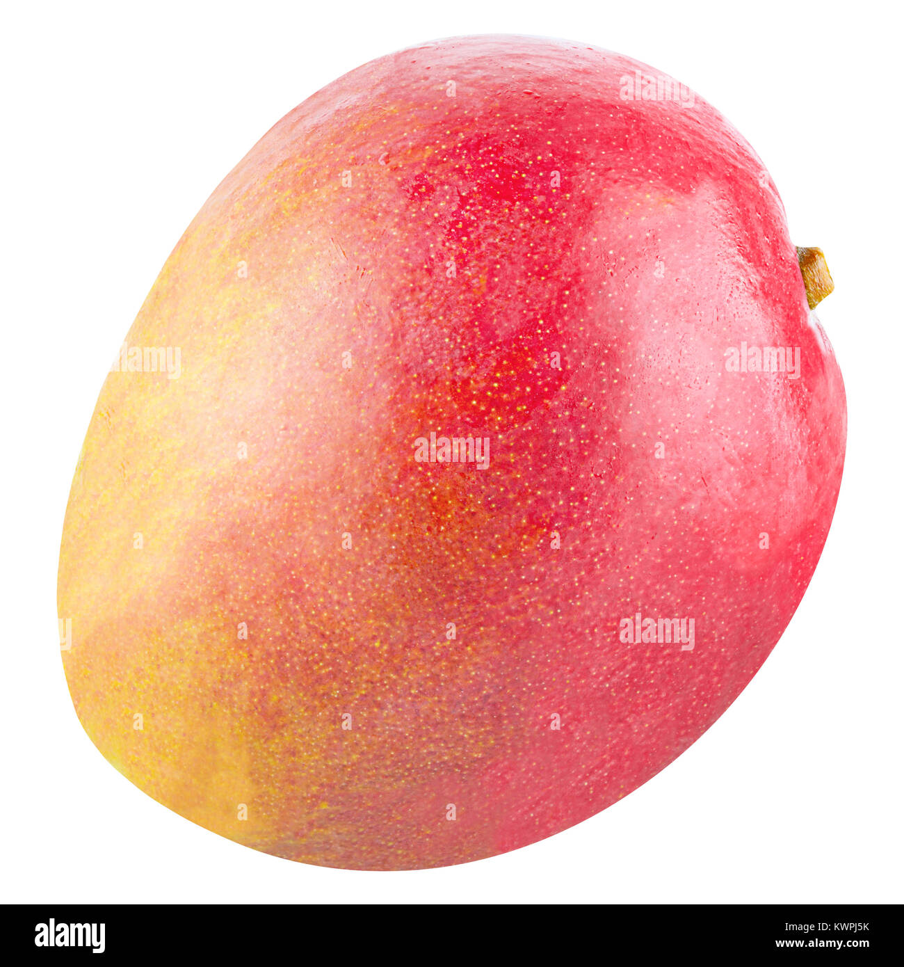 Isolated fruits. Mango fruit isolated on white background with clipping ...