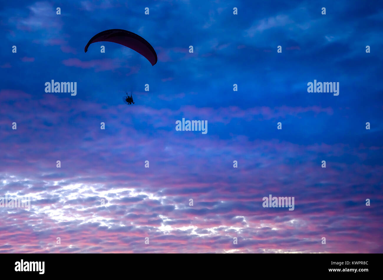 Motorized paraglider flying up high on the sky by the sunset Stock ...