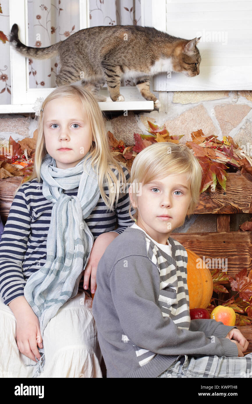 Children sibling - boy, girl and cat Stock Photo - Alamy