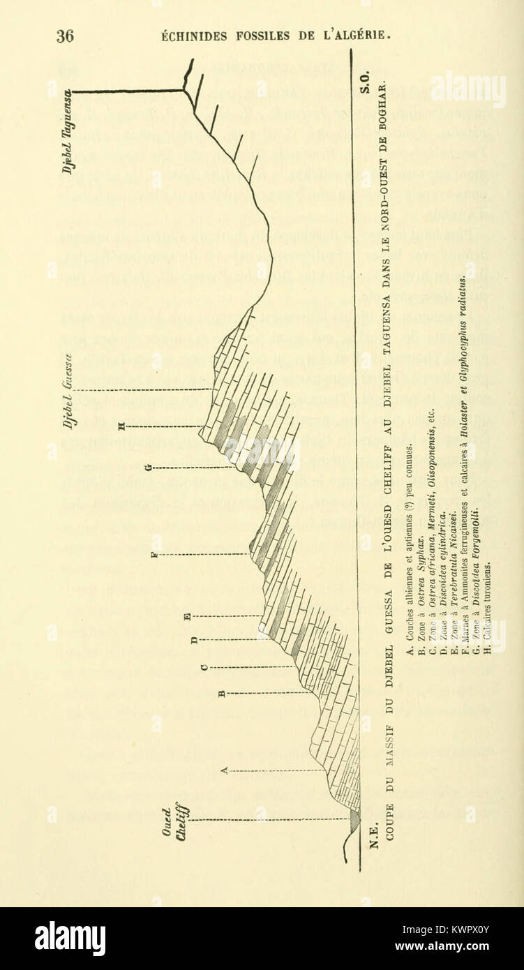 Fossil formation diagram hi-res stock photography and images - Alamy