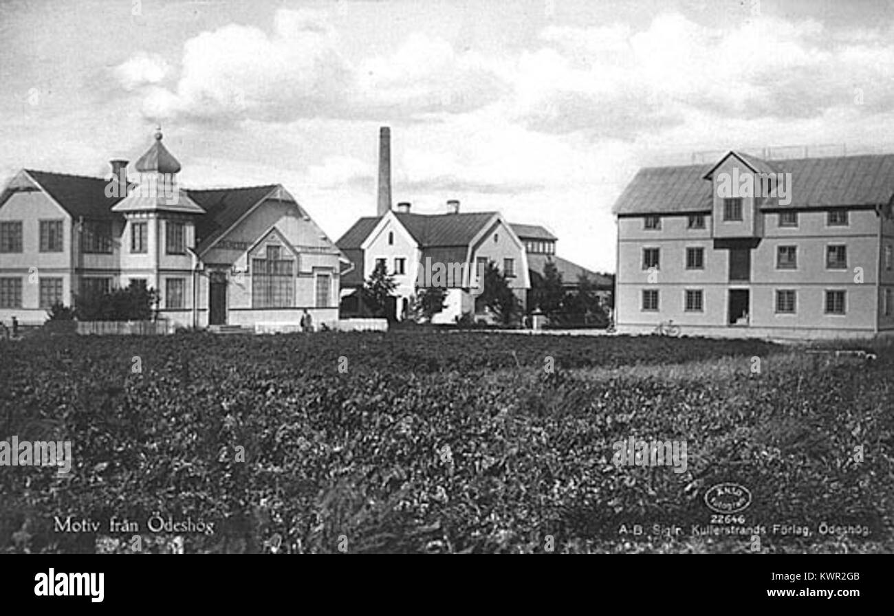 This document from the 1920s offers a glimpse into the social, cultural ...