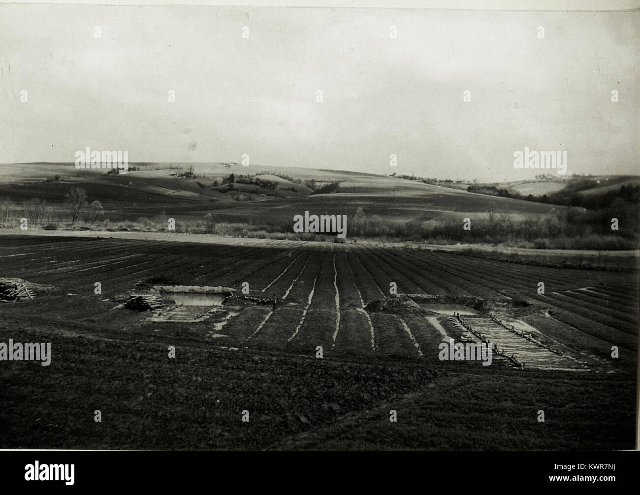 This image depicts Austrian gun positions in the Tarnawatal region ...