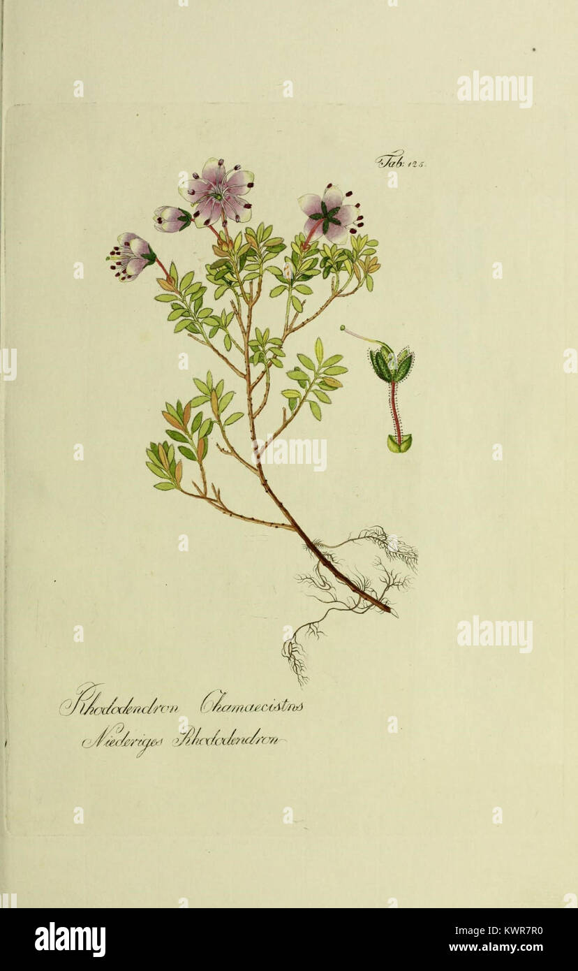 Text on forests forestry hi-res stock photography and images - Alamy