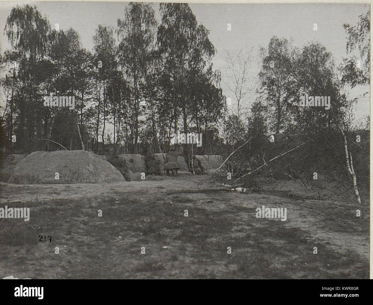 Photograph showing a World War I military position near Galuzia with ...
